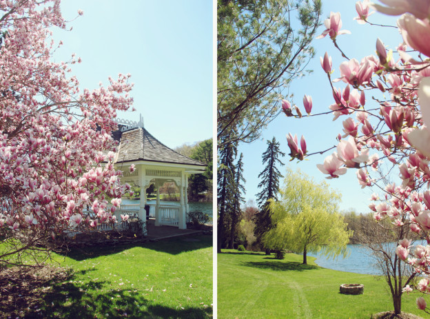 what spring does… – Live Love Simple