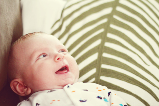 The Simplest Days – Seasons of Light