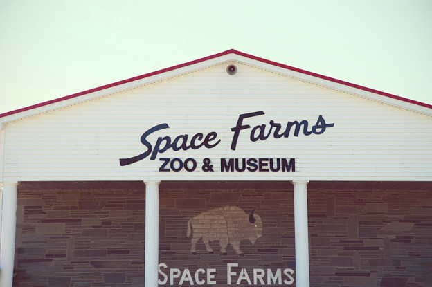 Our Day at Space Farms – Live Love Simple