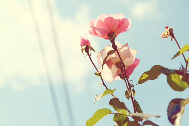 Sweet, Sweet October – Seasons of Light