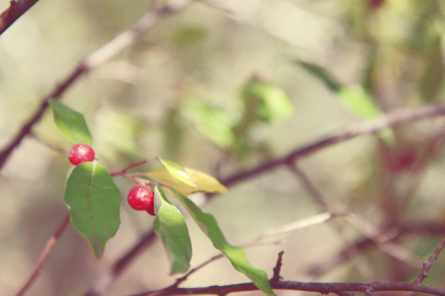Sweet, Sweet October – Seasons of Light
