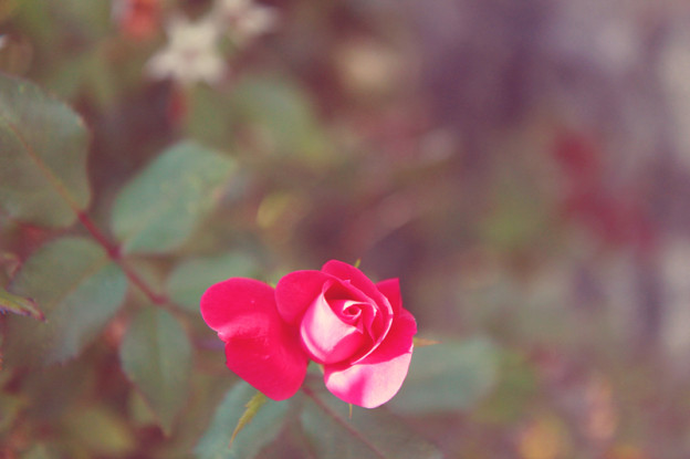 Sweet, Sweet October – Seasons of Light