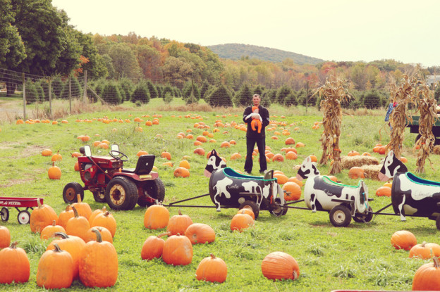 Visit to the Pumpkin Patch – Live Love Simple