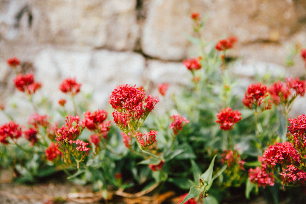 Travel Guide: Dublin, Ireland – Seasons of Light